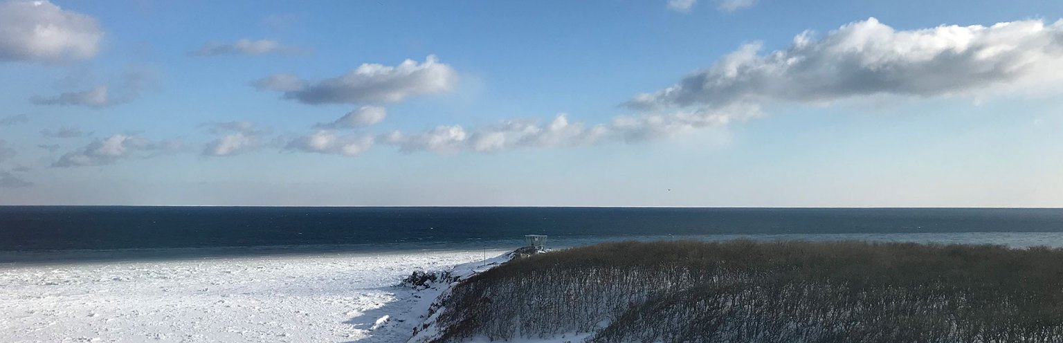 Irving Resources Reviews First Year of Work with JX Advanced Metals ...